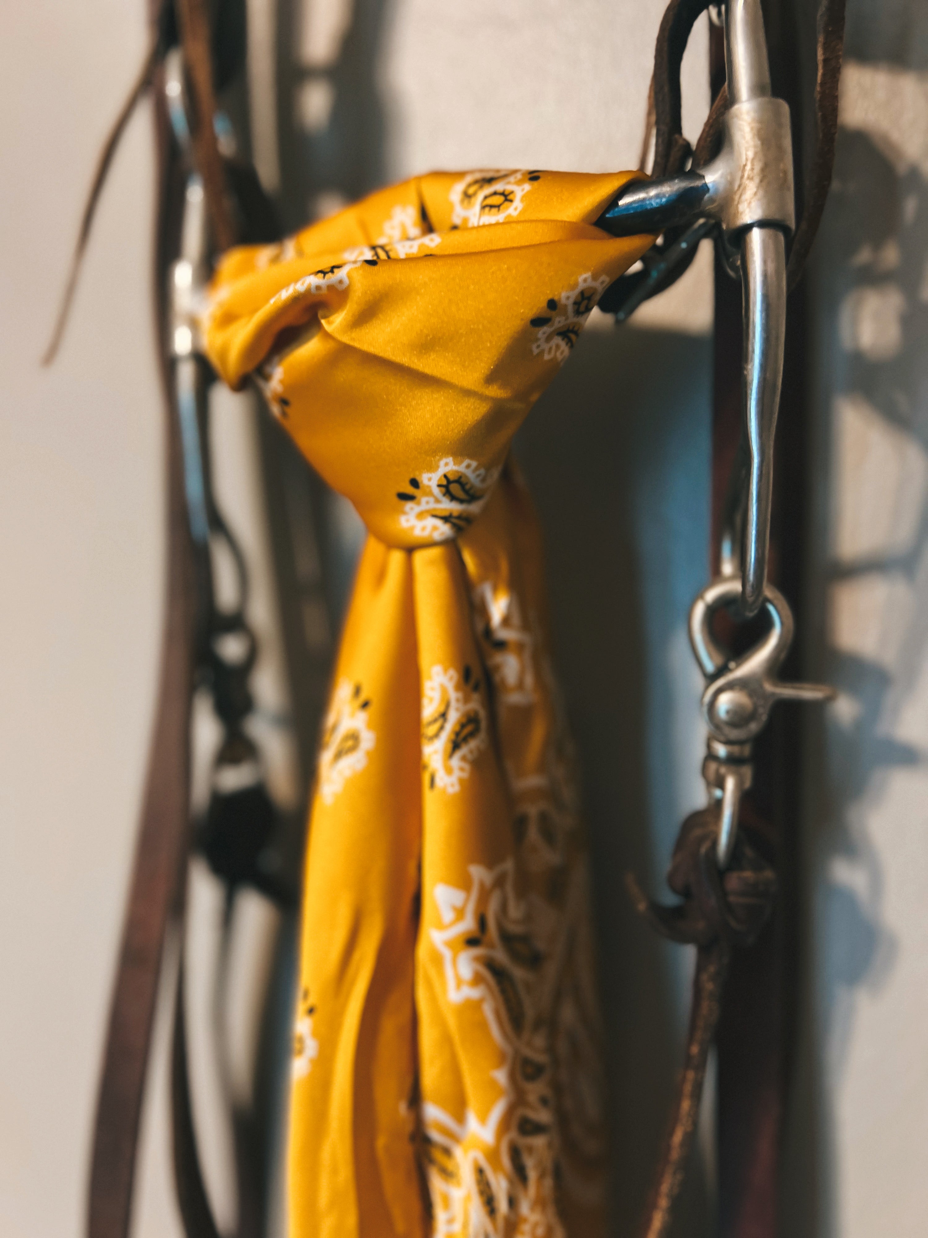 28" Bandana Print Wild Rag - Mustard – Roany Pony Couture